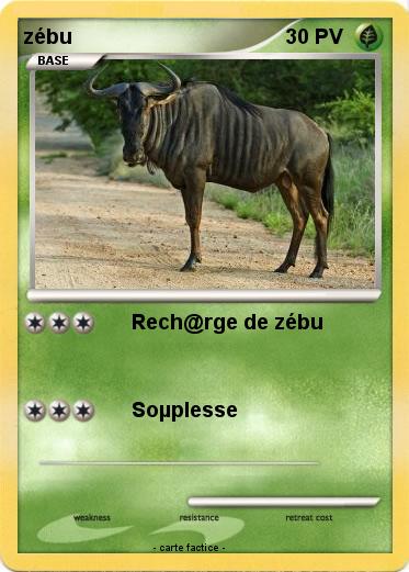 Pokémon zebu 1 1 - Rech@rge de zébu - Ma carte Pokémon