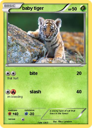 Pokémon baby tiger 24 24 - bite - My Pokemon Card