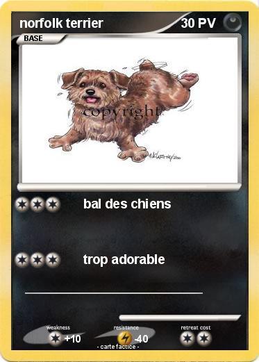 Pokémon norfolk terrier - bal des chiens - Ma carte Pokémon