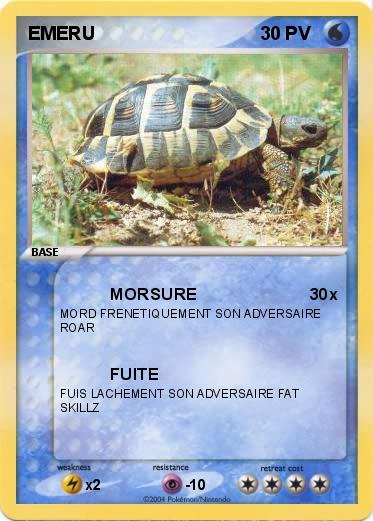 Pokémon EMERU - MORSURE - Ma carte Pokémon