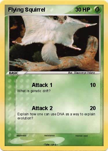 Pokémon Flying Squirrel 17 17 - Attack 1 - My Pokemon Card