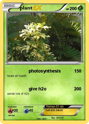 Pokémon plant 198 198 - photosynthesis - My Pokemon Card