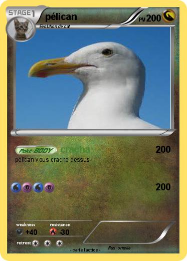 Pokémon pelican 47 47 - cracha - Ma carte Pokémon