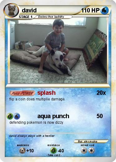 Pokémon david 524 524 - splash - My Pokemon Card