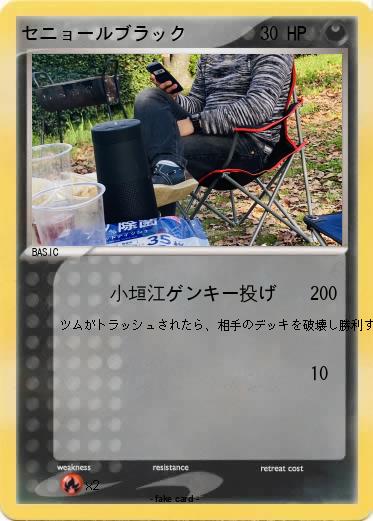 Pokémon 1 215397 215397 - 小垣江ゲンキー投げ - My Pokemon Card