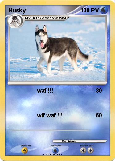 Pokémon Husky 507 507 - waf !!! - Ma carte Pokémon