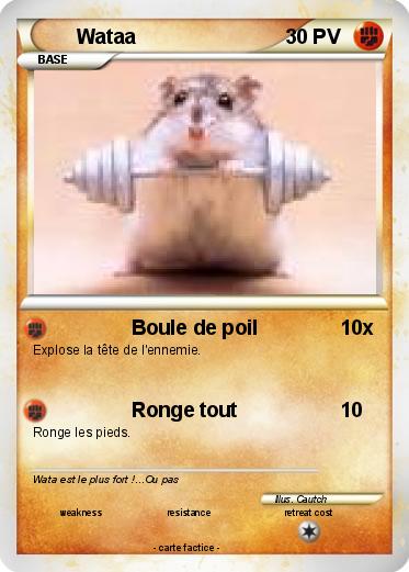 Pokémon Wataa - Boule de poil - Ma carte Pokémon