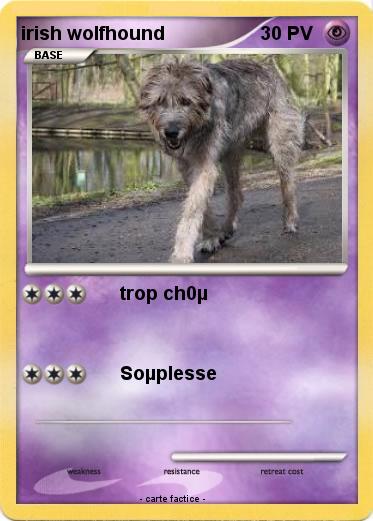 Pokémon irish wolfhound 205 205 - trop ch0µ - Ma carte Pokémon