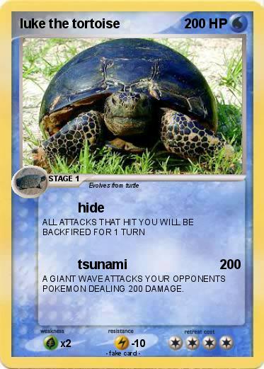 Pokémon luke the tortoise 1 1 - hide - My Pokemon Card