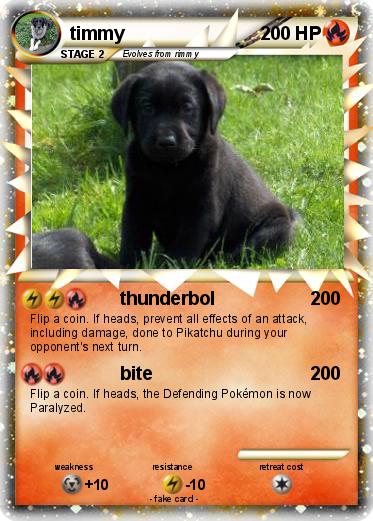 Pokémon timmy 486 486 - thunderbol - My Pokemon Card