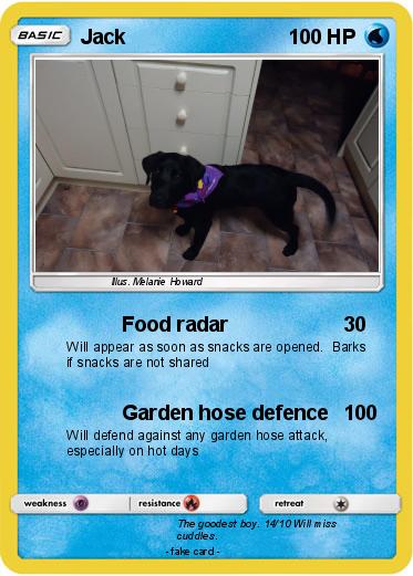 Pokémon Jack 3062 3062 - Food radar - My Pokemon Card