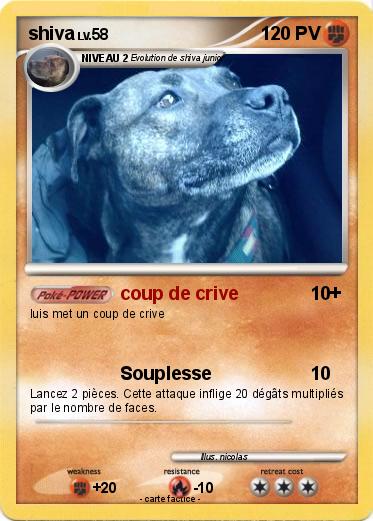 Pokémon shiva 23 23 - coup de crive - Ma carte Pokémon