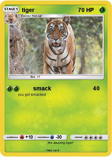 Pokémon tiger 1216 1216 - smack - My Pokemon Card