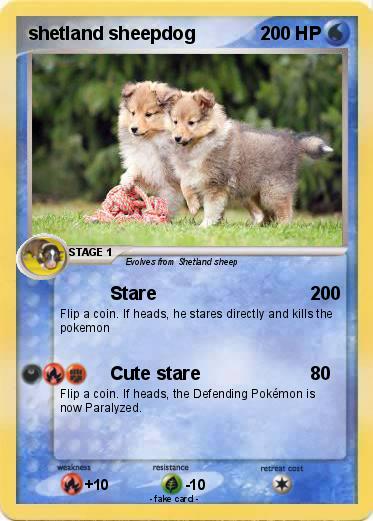 Pokémon shetland sheepdog - Stare - My Pokemon Card