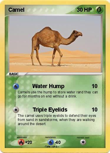 Pokémon Camel 56 56 - Water Hump - My Pokemon Card