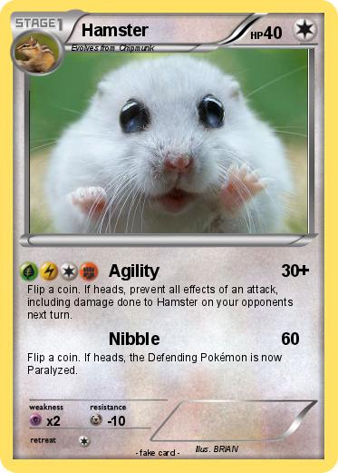 Pokémon Hamster 638 638 - Agility - My Pokemon Card