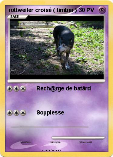 Pokémon rottweiler croise timber - Rech@rge de batârd - Ma carte Pokémon