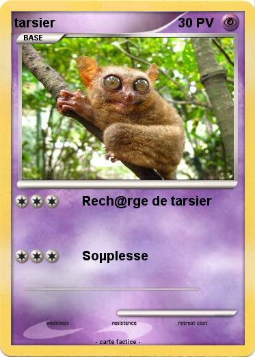 Pokémon tarsier 9 9 - Rech@rge de tarsier - Ma carte Pokémon