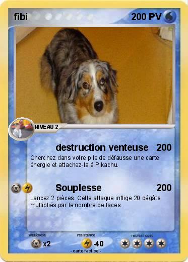 Pokémon fibi 8 8 - destruction venteuse - Ma carte Pokémon