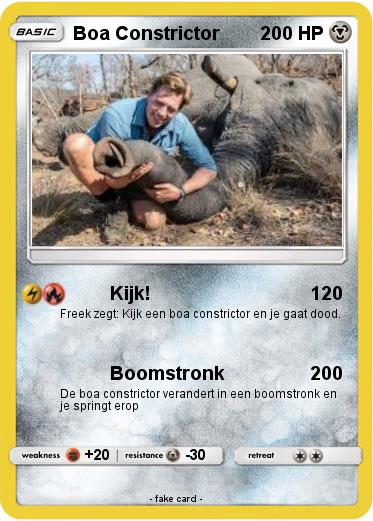 Pokémon Boa Constrictor 4 4 - Kijk! - My Pokemon Card