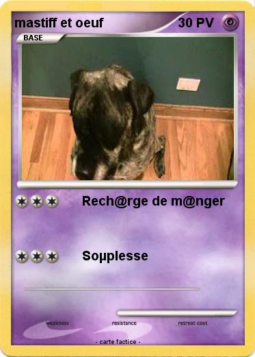 Pokémon mastiff et oeuf - Rech@rge de m@nger - Ma carte Pokémon
