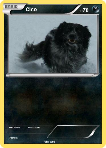 Pokémon Cico 3 3 - My Pokemon Card