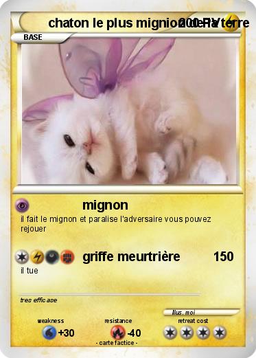 Pokémon chaton le plus mignion de la terre - mignon - Ma carte Pokémon