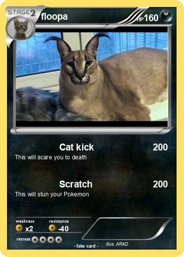Pokémon floopa 14 14 - Cat kick - My Pokemon Card