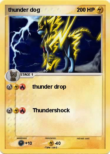 Pokémon thunder dog 12 12 - thunder drop - My Pokemon Card