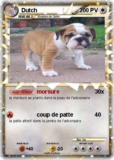 Pokémon Dutch 10 10 - morsure - Ma carte Pokémon