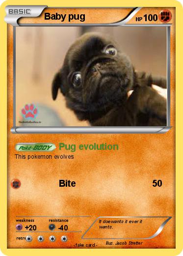 Pokémon Baby pug 10 10 - Pug evolution - My Pokemon Card