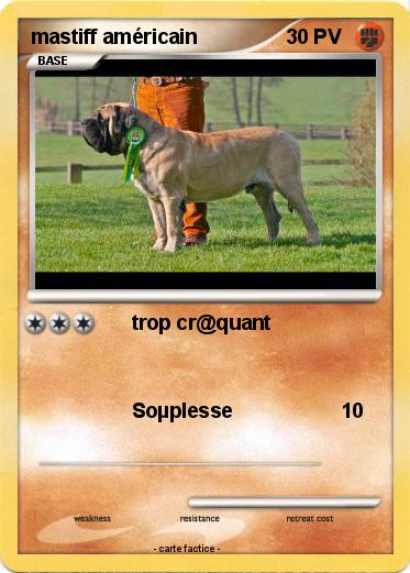 Pokémon mastiff americain 5 5 - trop cr@quant - Ma carte Pokémon