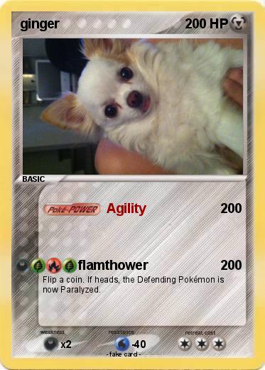 Pokémon ginger 255 255 - Agility - My Pokemon Card