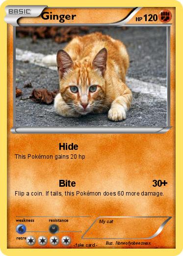Pokémon Ginger 444 444 - Hide - My Pokemon Card