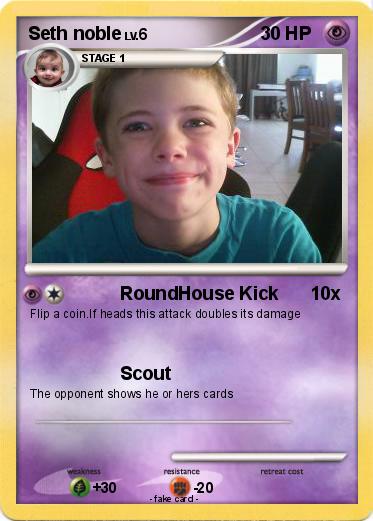 Pokémon Seth noble - RoundHouse Kick - My Pokemon Card