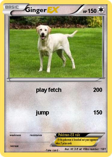 Pokémon Ginger 450 450 - play fetch - My Pokemon Card