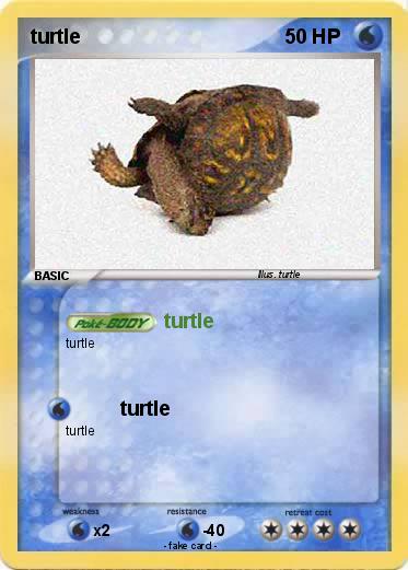 Pokémon turtle 352 352 - turtle - My Pokemon Card