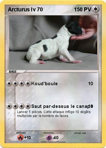 Pokémon Arcturus lv 70 2 2 - Koud'boule - Ma carte Pokémon