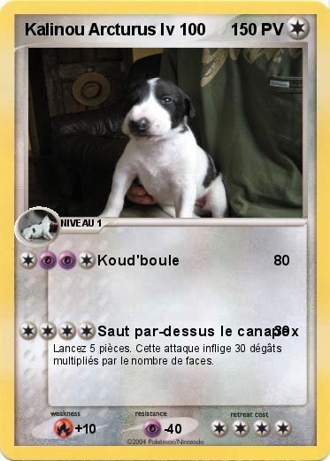 Pokémon Kalinou Arcturus lv 100 2 2 - Koud'boule - Ma carte Pokémon