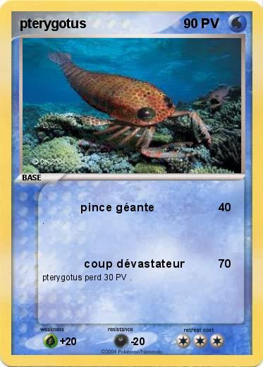 Pokémon pterygotus - pince géante - Ma carte Pokémon