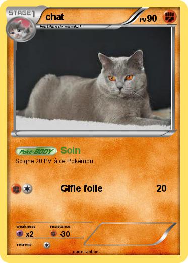 Pokémon chat 3237 3237 - Soin - Ma carte Pokémon