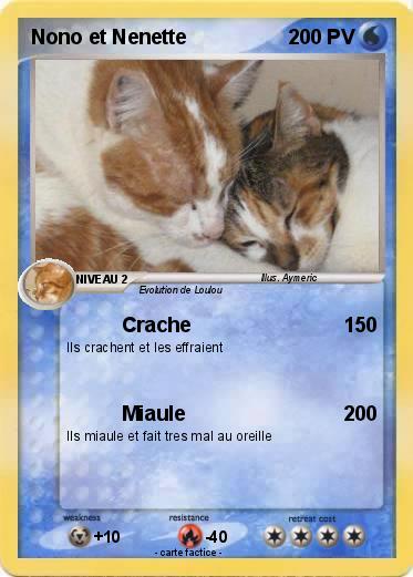 Pokémon Nono et Nenette - Crache - Ma carte Pokémon
