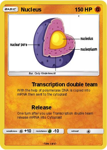 Pokémon Nucleus 151 151 - Transcription double team - My Pokemon Card
