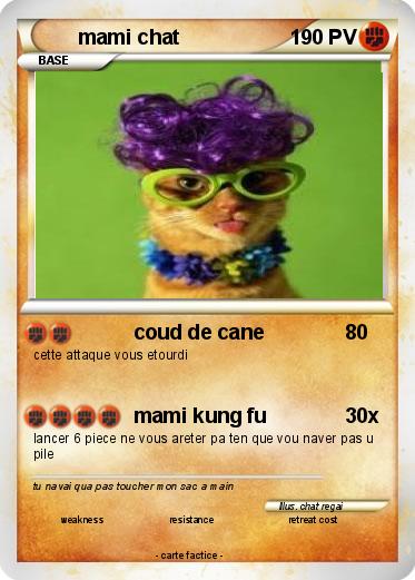 Pokémon mami chat - coud de cane - Ma carte Pokémon