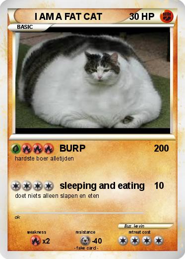 Pokémon I AM A FAT CAT - BURP - My Pokemon Card