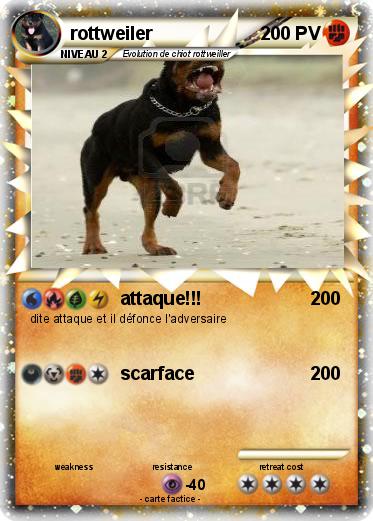Pokémon rottweiler 96 96 - attaque!!! - Ma carte Pokémon