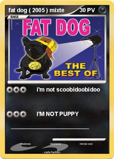 Pokémon fat dog 2005 mixte - i'm not scoobidoobidoo - Ma carte Pokémon