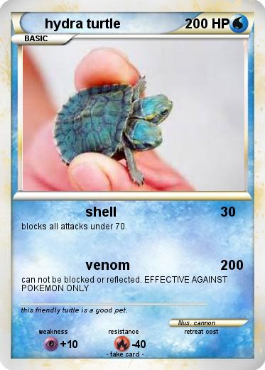 Pokémon hydra turtle - shell - My Pokemon Card