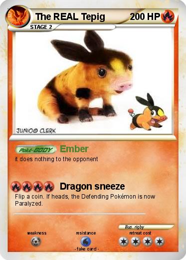 Pokémon The REAL Tepig - Ember - My Pokemon Card
