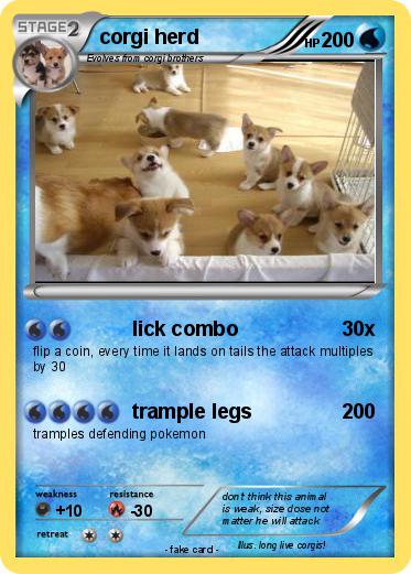 Pokémon corgi herd - lick combo - My Pokemon Card